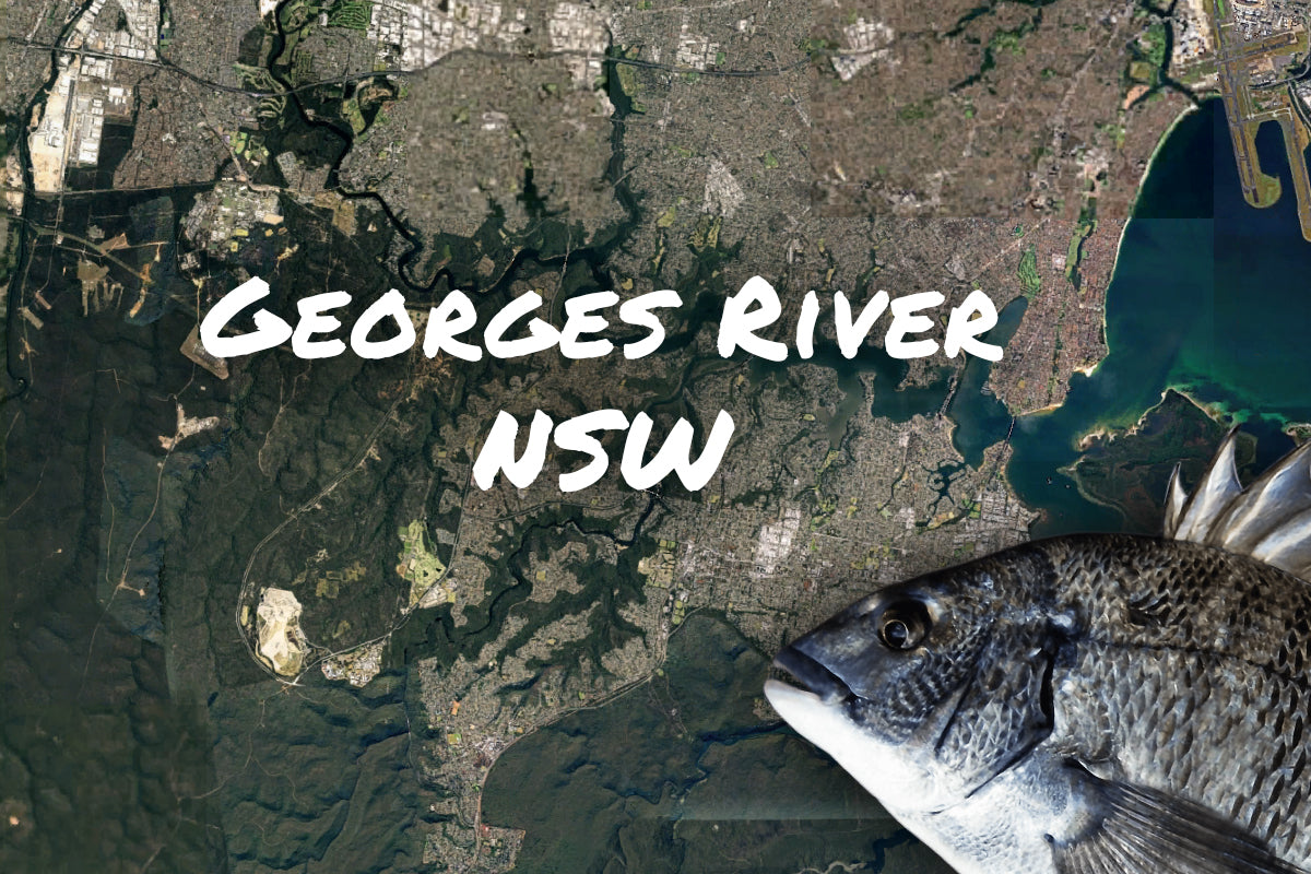 Georges River NSW Bream Fishing – Blako